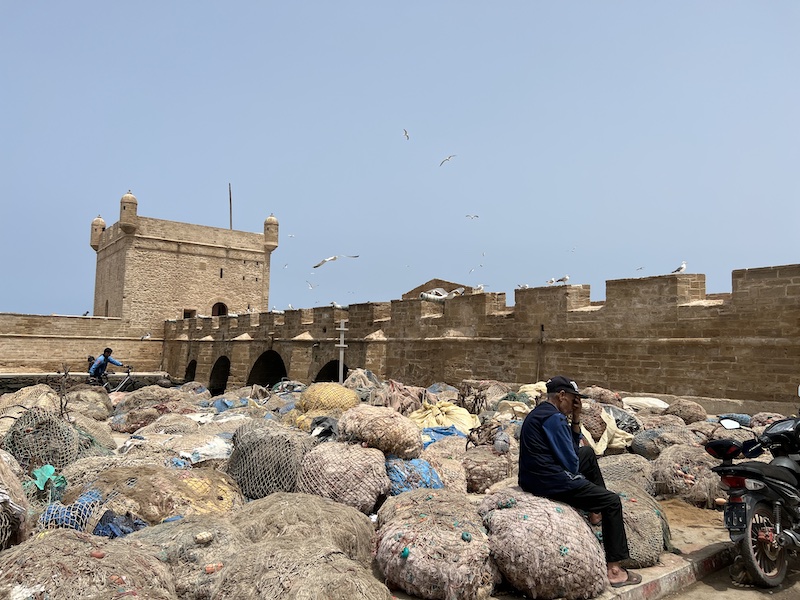 6-Day Morocco Beach Tour from Marrakech to the Atlantic Coast