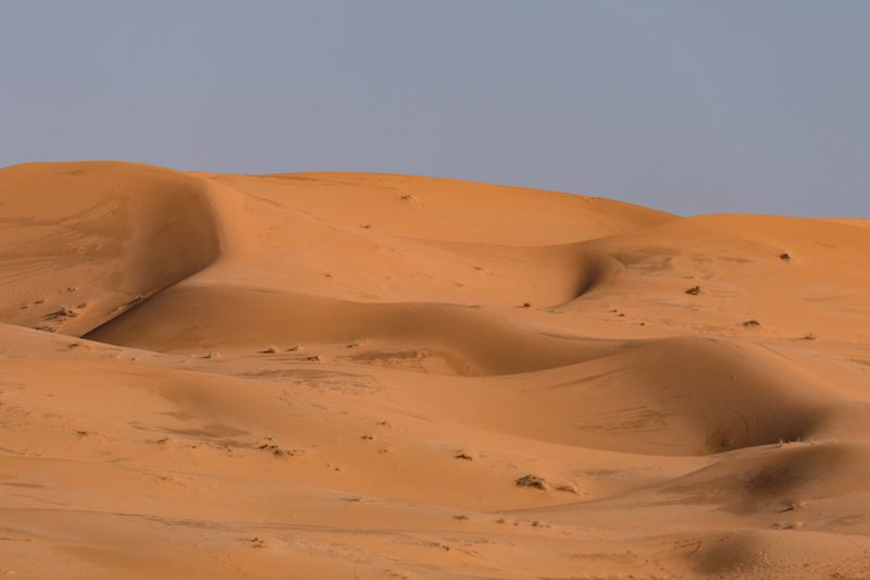 Best Things to do in Ouarzazate - Desert Morocco tours & Excursions